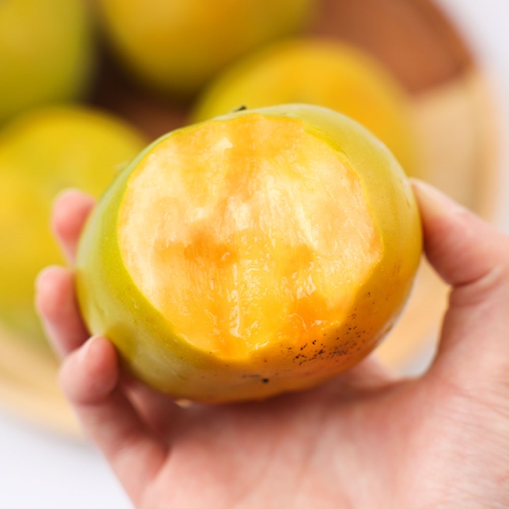 23년 햇 태추 단감 2kg